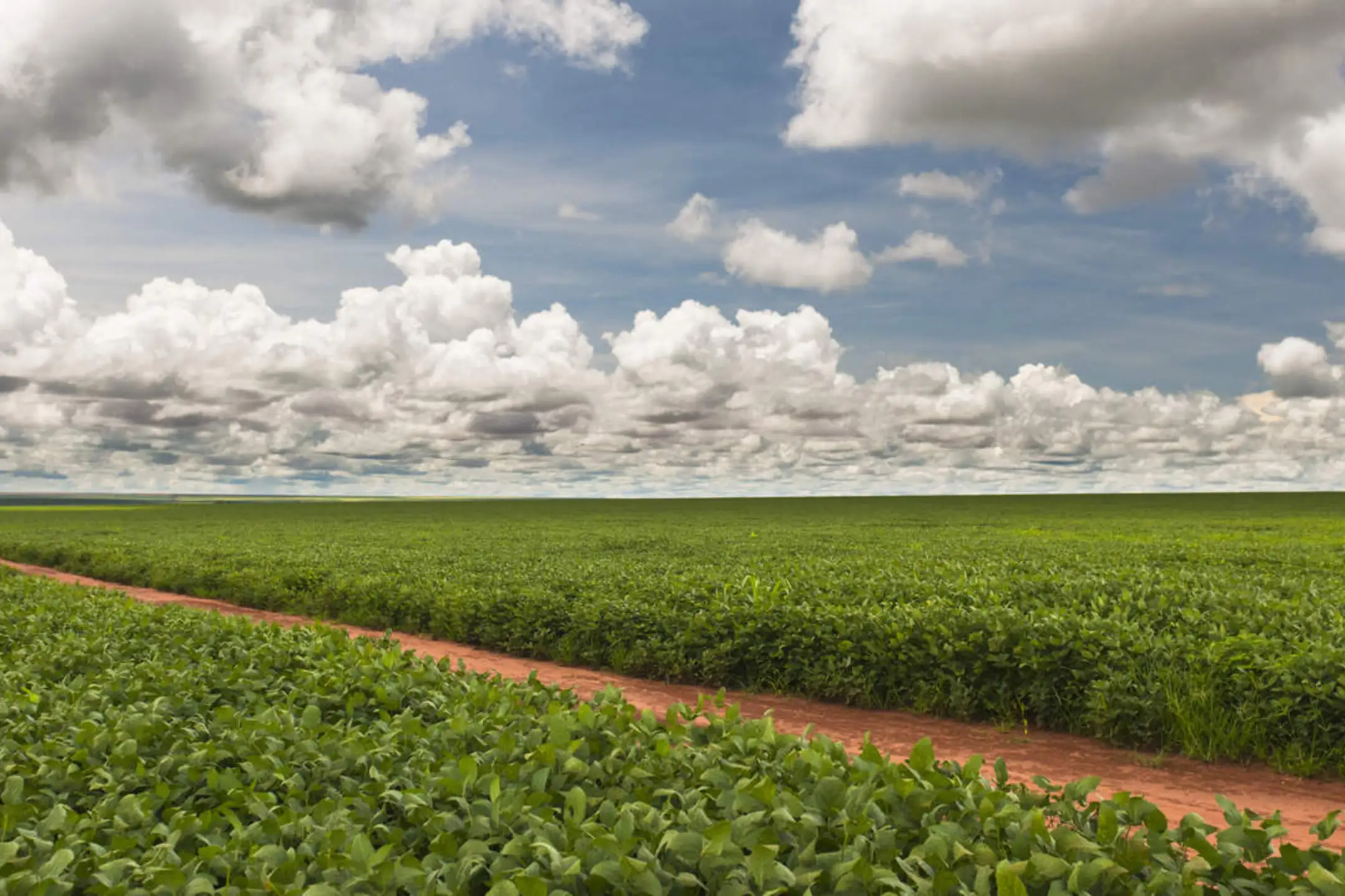 Bell Food Group - Leading in Food